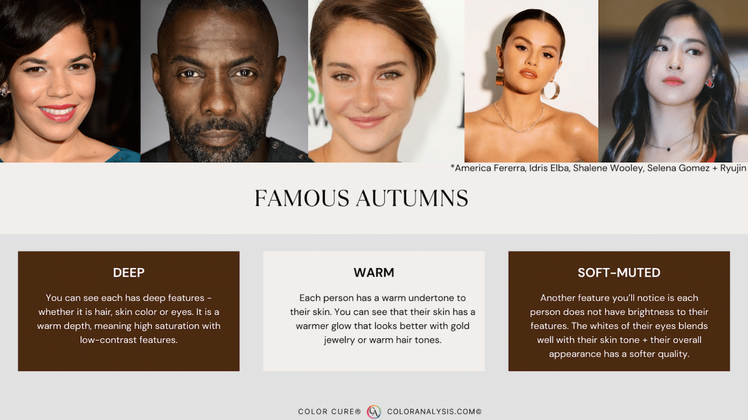 An Introduction to Color Analysis: What It Is, Why You Need It ...